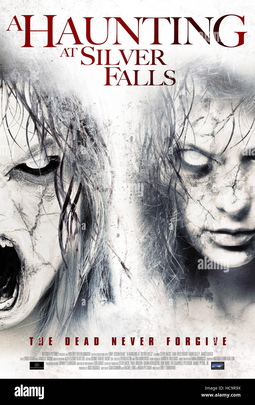 A HAUNTING AT SILVER FALLS, International poster art, 2013. ©Inception ...