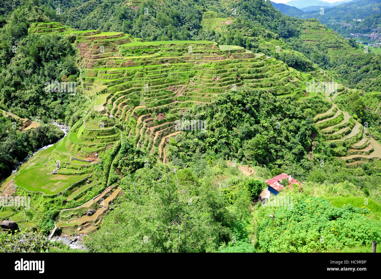 Rice terraces north luzon philippines hi-res stock photography and ...