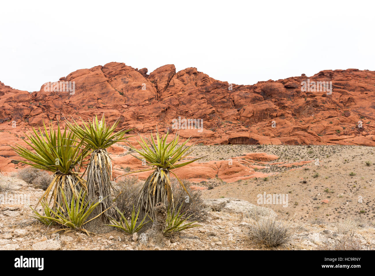 Yucca mountain nevada hi-res stock photography and images - Alamy