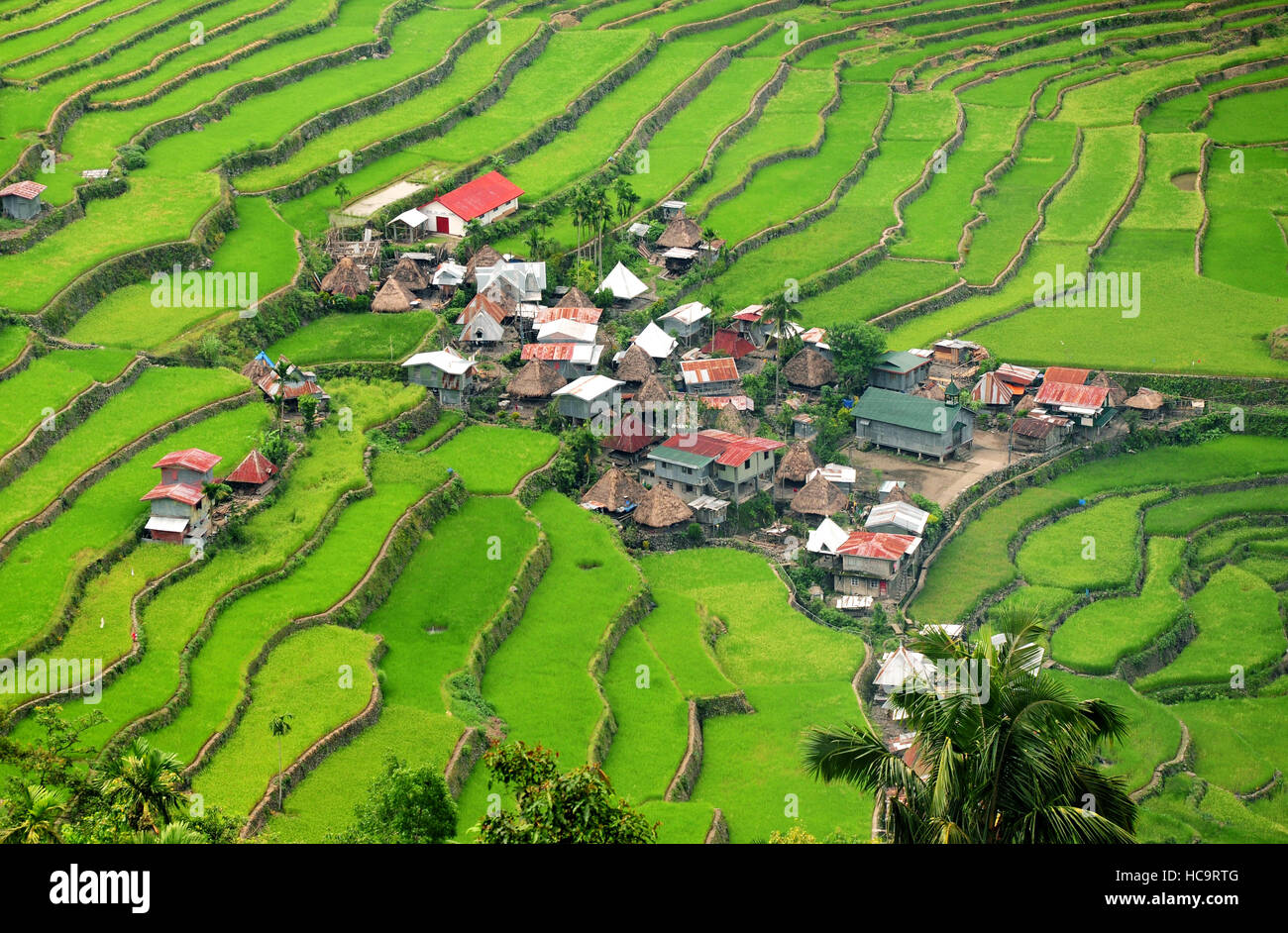 Batad rice terraces hi-res stock photography and images - Alamy