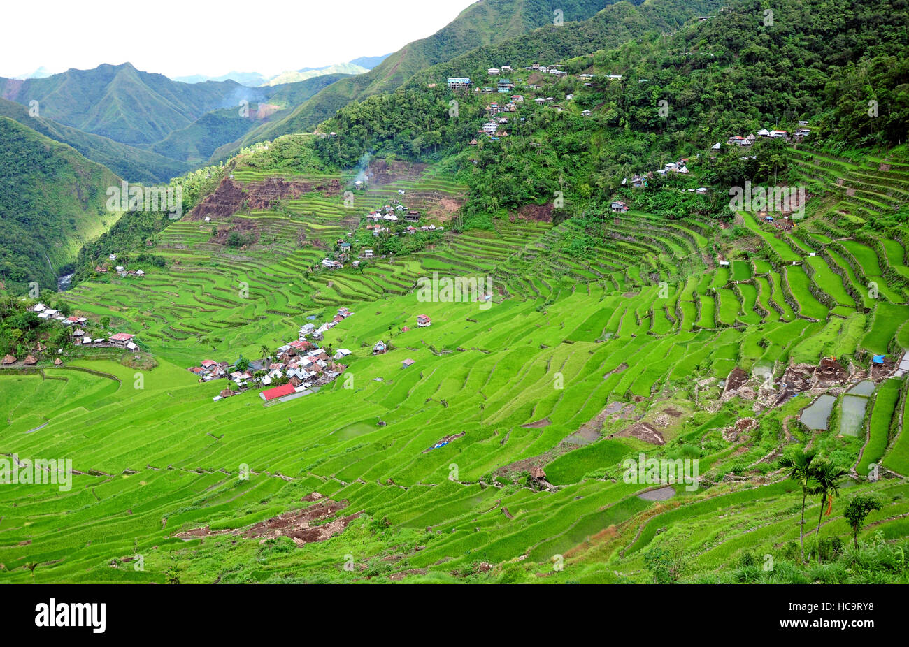 Batad rice terraces in Banaue, Philippines Stock Photo - Alamy