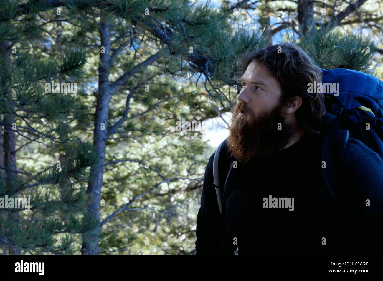 ALMOST SUNRISE, Tom Voss, 2016. /Courtesy Everett Collection Stock ...