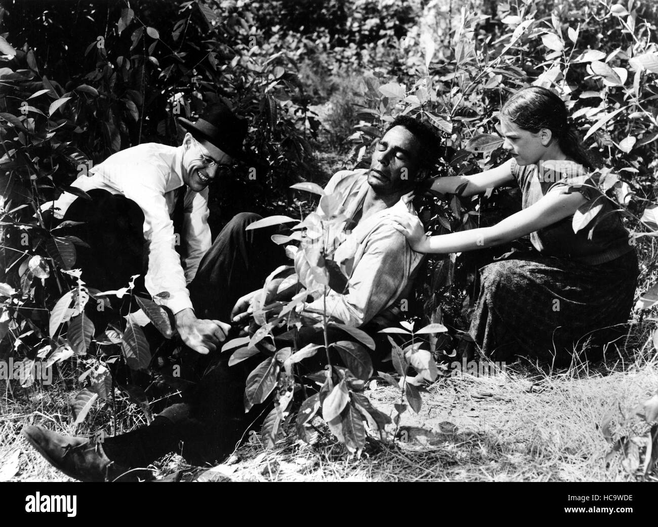 THE YOUNG ONE, (LA JOVEN), Claudio Brook, Bernie Hamilton, Key Meersman ...