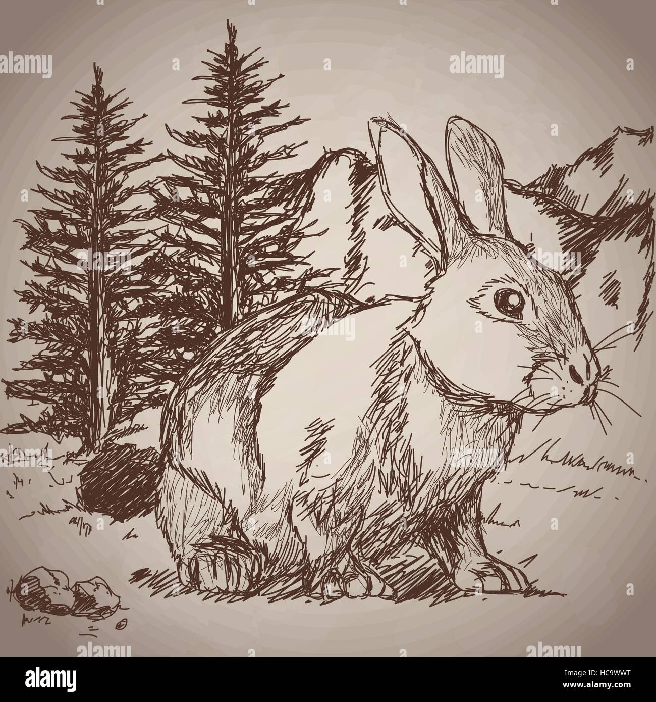 hand drawing rabbit landscape vintage Stock Vector Image & Art - Alamy