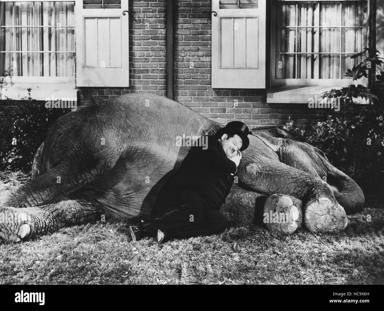 ZENOBIA, Oliver Hardy, 1939 Stock Photo - Alamy