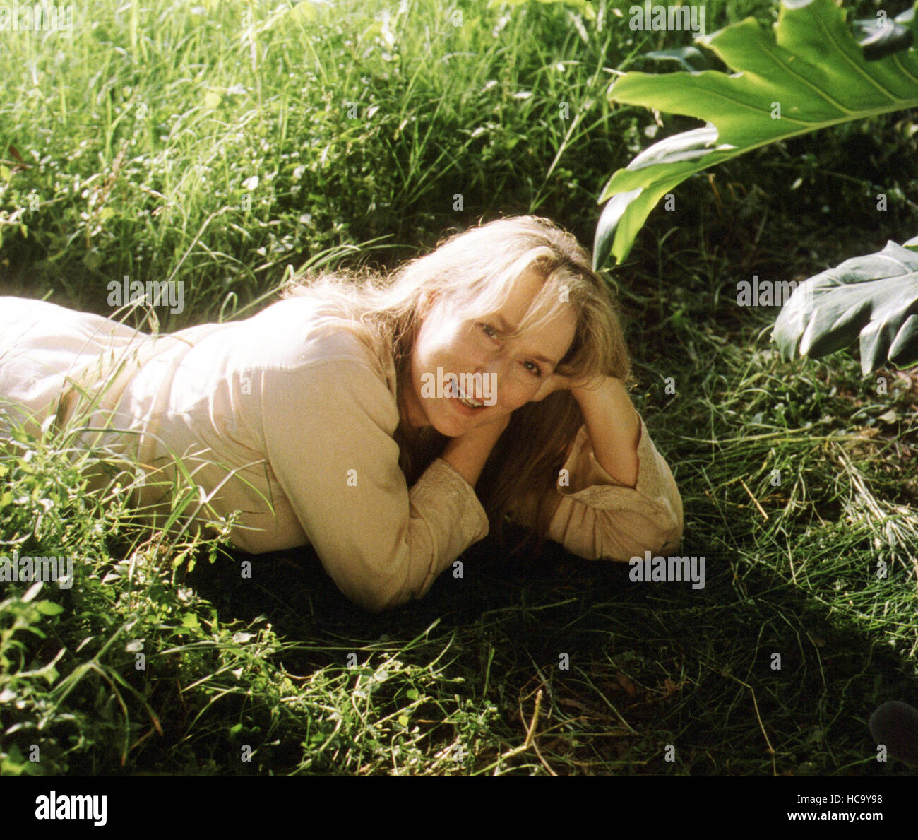 ADAPTATION, (aka ADAPTATION.), Meryl Streep, 2002. ©Columbia/courtesy ...