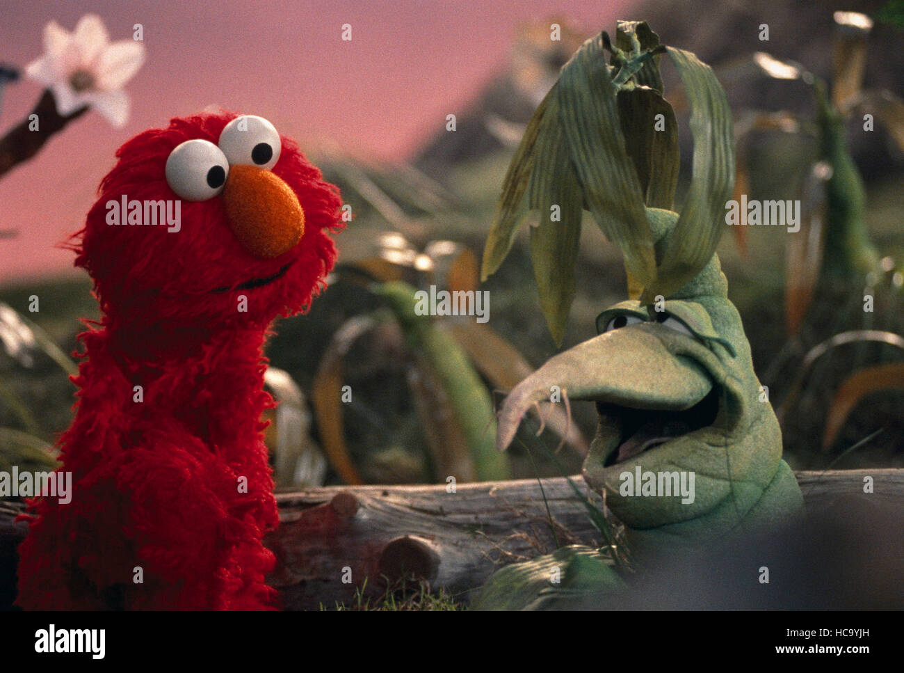 THE ADVENTURES OF ELMO IN GROUCHLAND, Elmo (left), 1999, (c) Columbia ...