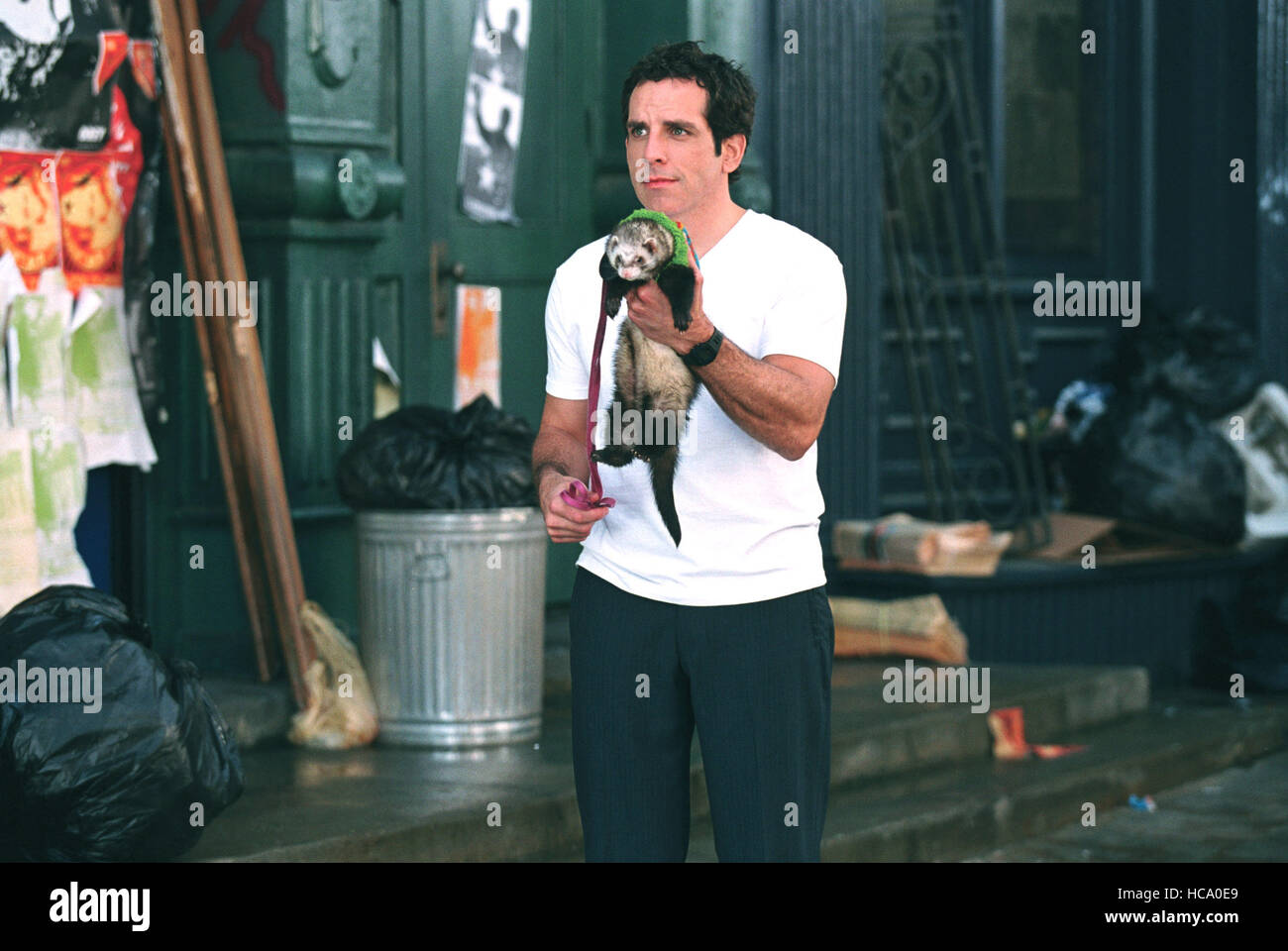 ALONG CAME POLLY, Ben Stiller, 2004, (c) Universal/courtesy Everett ...