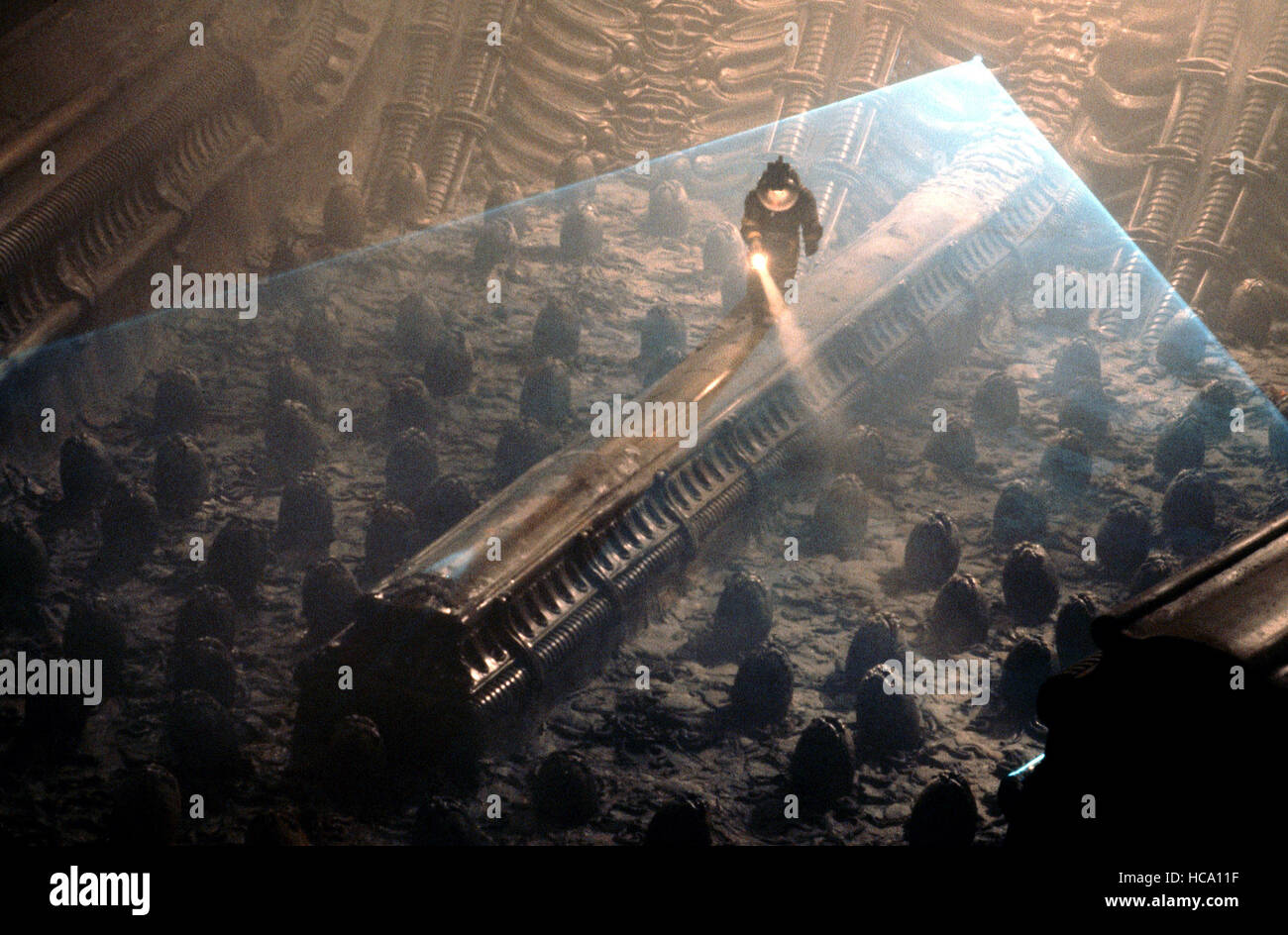 ALIEN, John Hurt, 1979, TM & Copyright (c) 20th Century Fox Film Corp ...