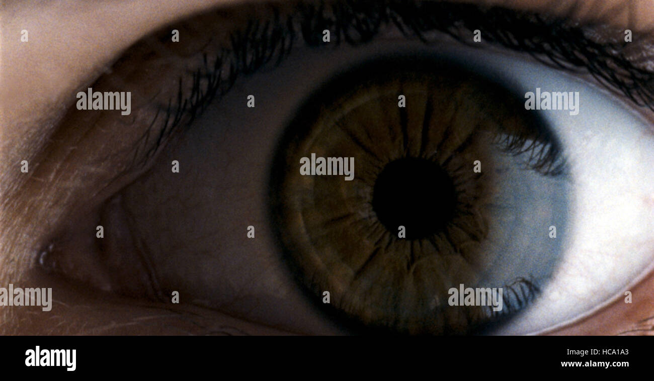 AMER, 2009. ©Olive Films/Courtesy Everett Collection Stock Photo - Alamy