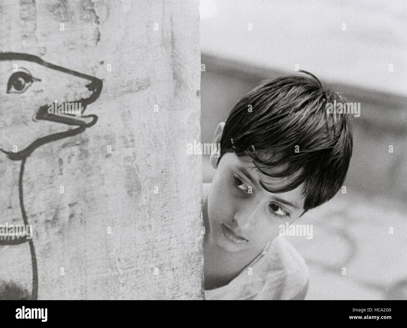 APARAJITO, Pinaki Sengupta, 1957 Stock Photo - Alamy