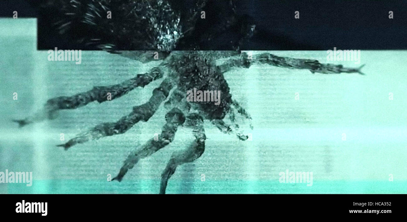 ARACHNICIDE, 2014. © Brain Damage Films /Courtesy Everett Collection ...