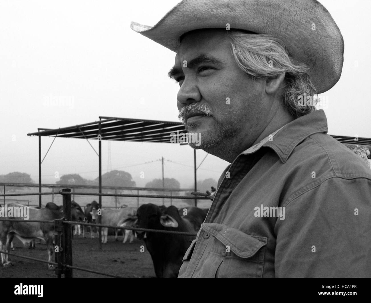 AUGUST EVENING, Pedro Castaneda, 2007. ©Maya Entertainment/Courtesy ...