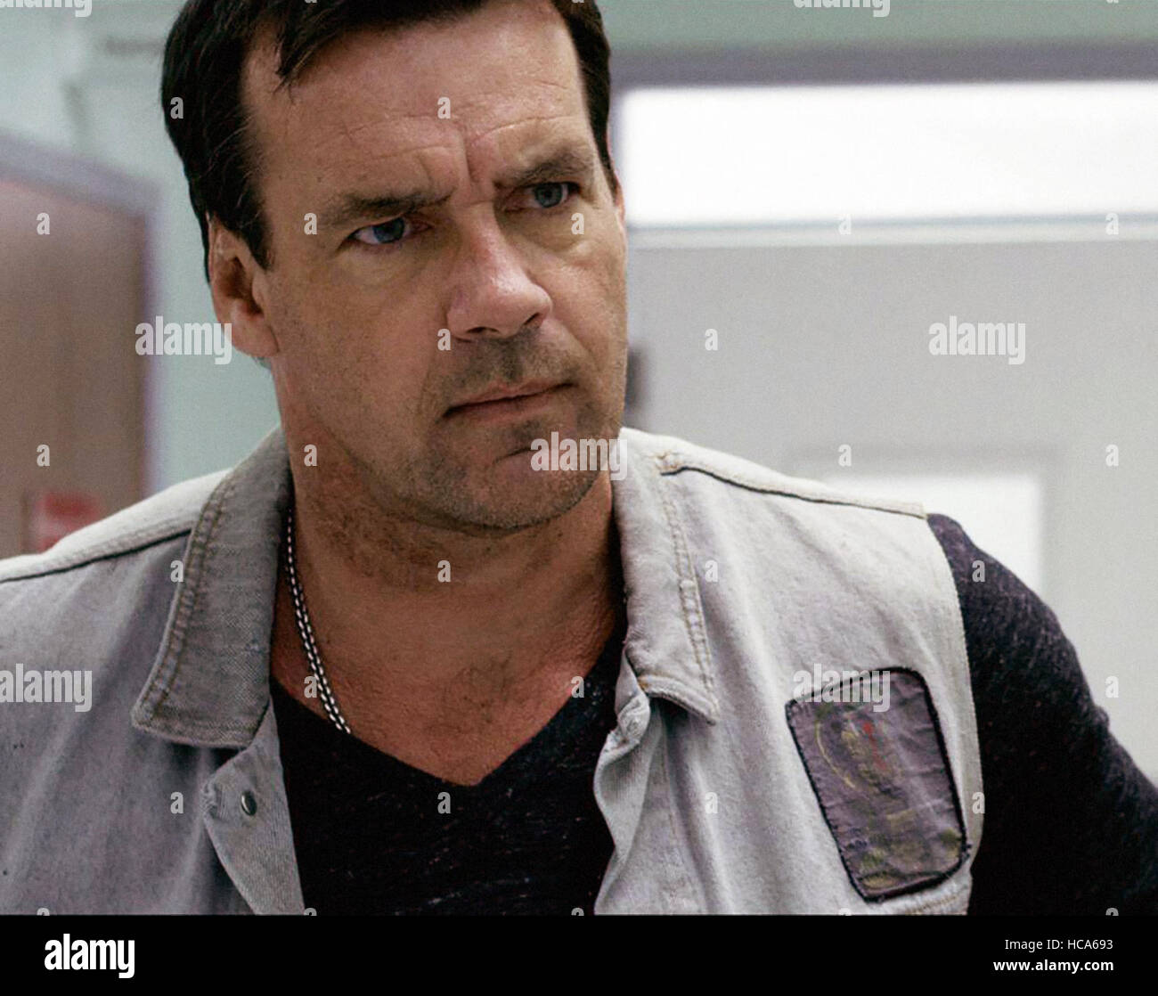 BATTLE SCARS, David James Elliott, 2015 Stock Photo - Alamy