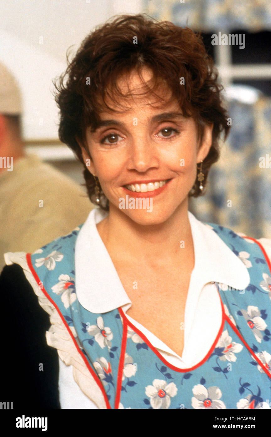 THE BABY-SITTERS CLUB, Brooke Adams, 1995, ©Columbia Pictures/courtesy ...