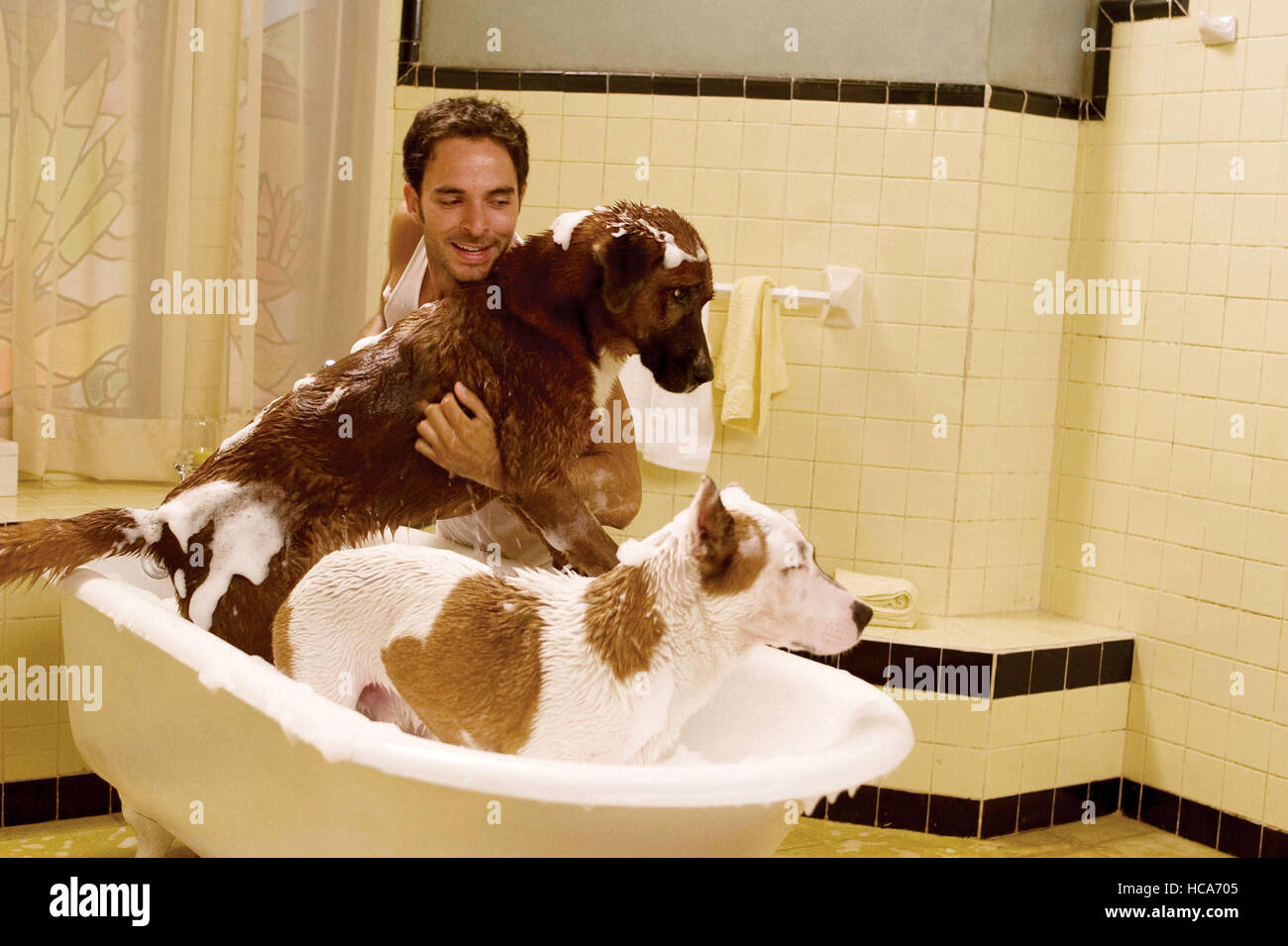 BEVERLY HILLS CHIHUAHUA, Manolo Cardona, 2008. ©Walt Disney Studios ...