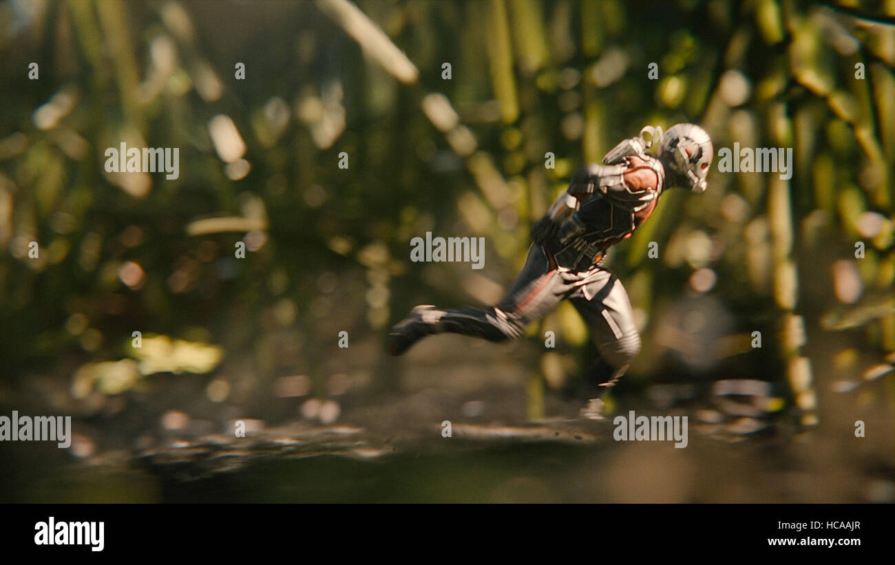 ANT-MAN, Paul Rudd, 2015. ©Walt Disney Studios Motion Pictures/Courtesy ...