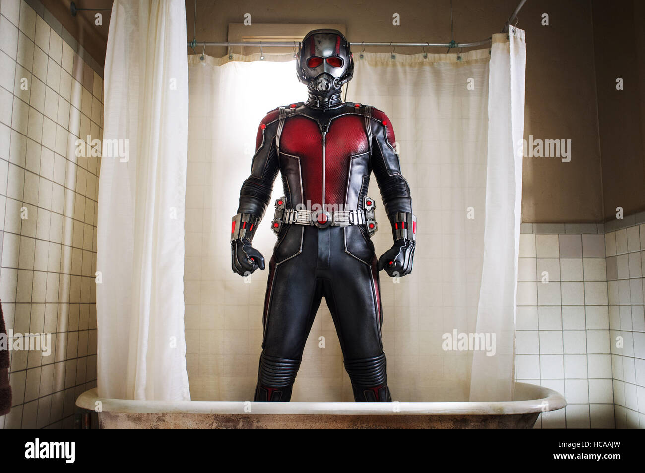 ANT-MAN, Paul Rudd, 2015. ph: Zade Rosenthal/©Walt Disney Studios ...
