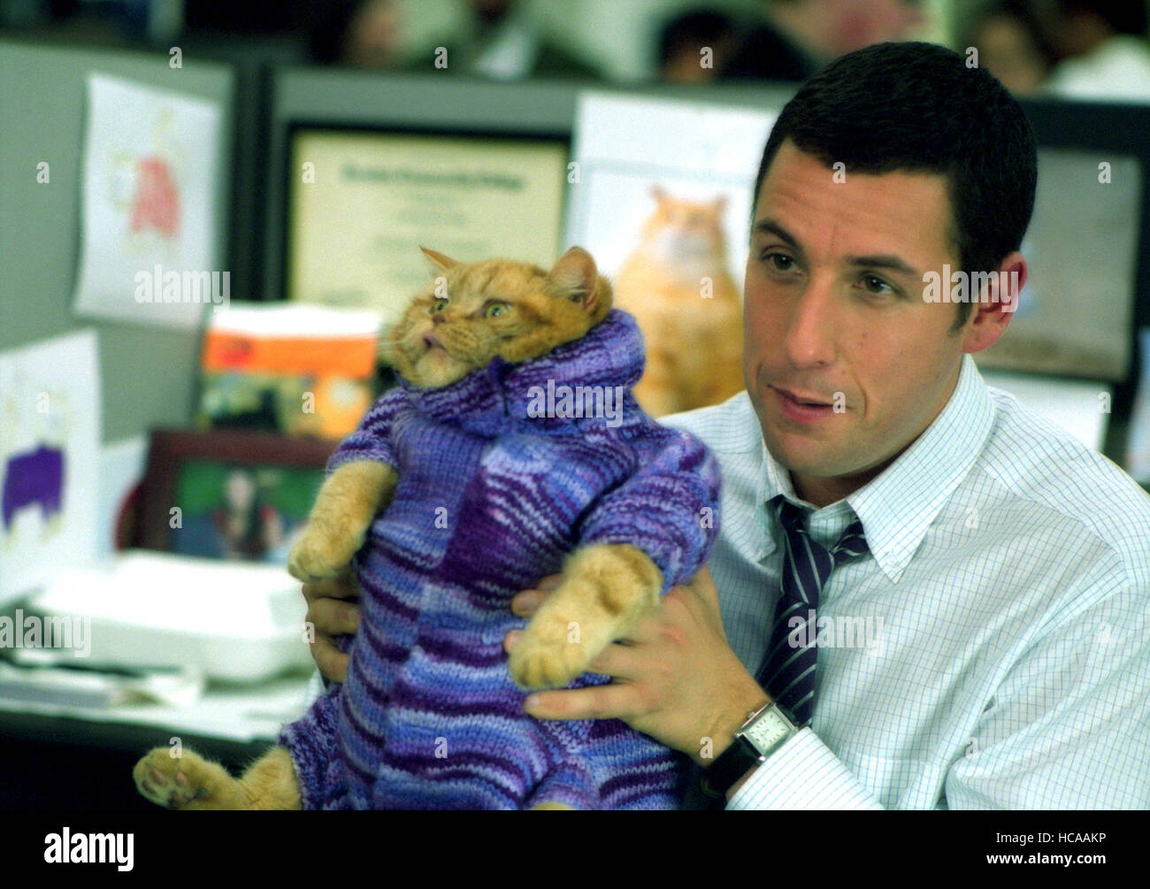 ANGER MANAGEMENT, Adam Sandler, 2003, (c) Columbia/courtesy Everett ...