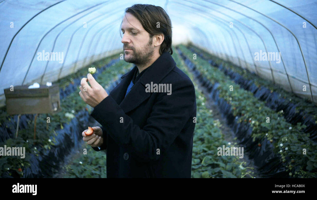 ANTS ON A SHRIMP, Rene Redzepi, 2016. © Cinema Delicatessen /Courtesy ...