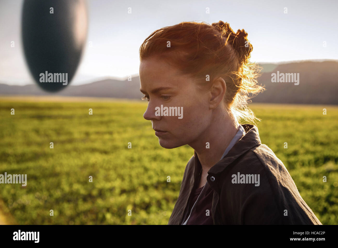 ARRIVAL, Amy Adams, 2016. ph: Jan Thijs /© Paramount Pictures /Courtesy ...