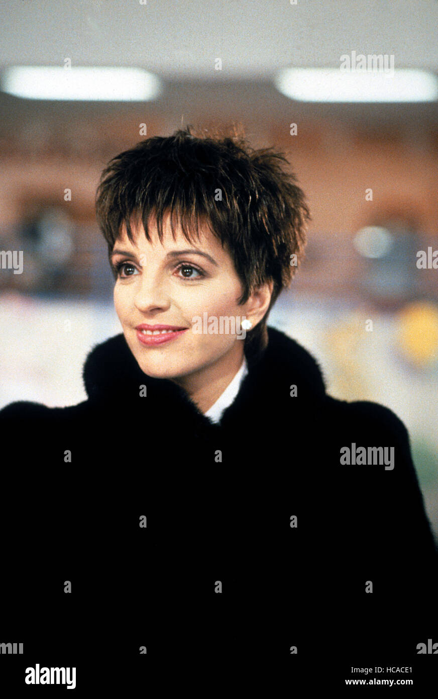 ARTHUR 2: ON THE ROCKS, Liza Minnelli, 1988, (c) Warner Brothers ...