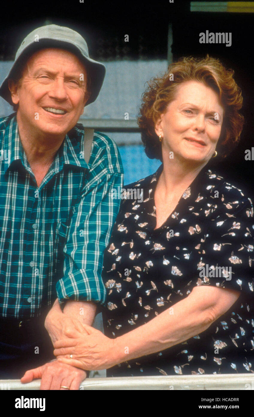 BARNEY'S GREAT ADVENTURE, (aka BARNEY'S GREAT ADVENTURE: THE MOVIE ...