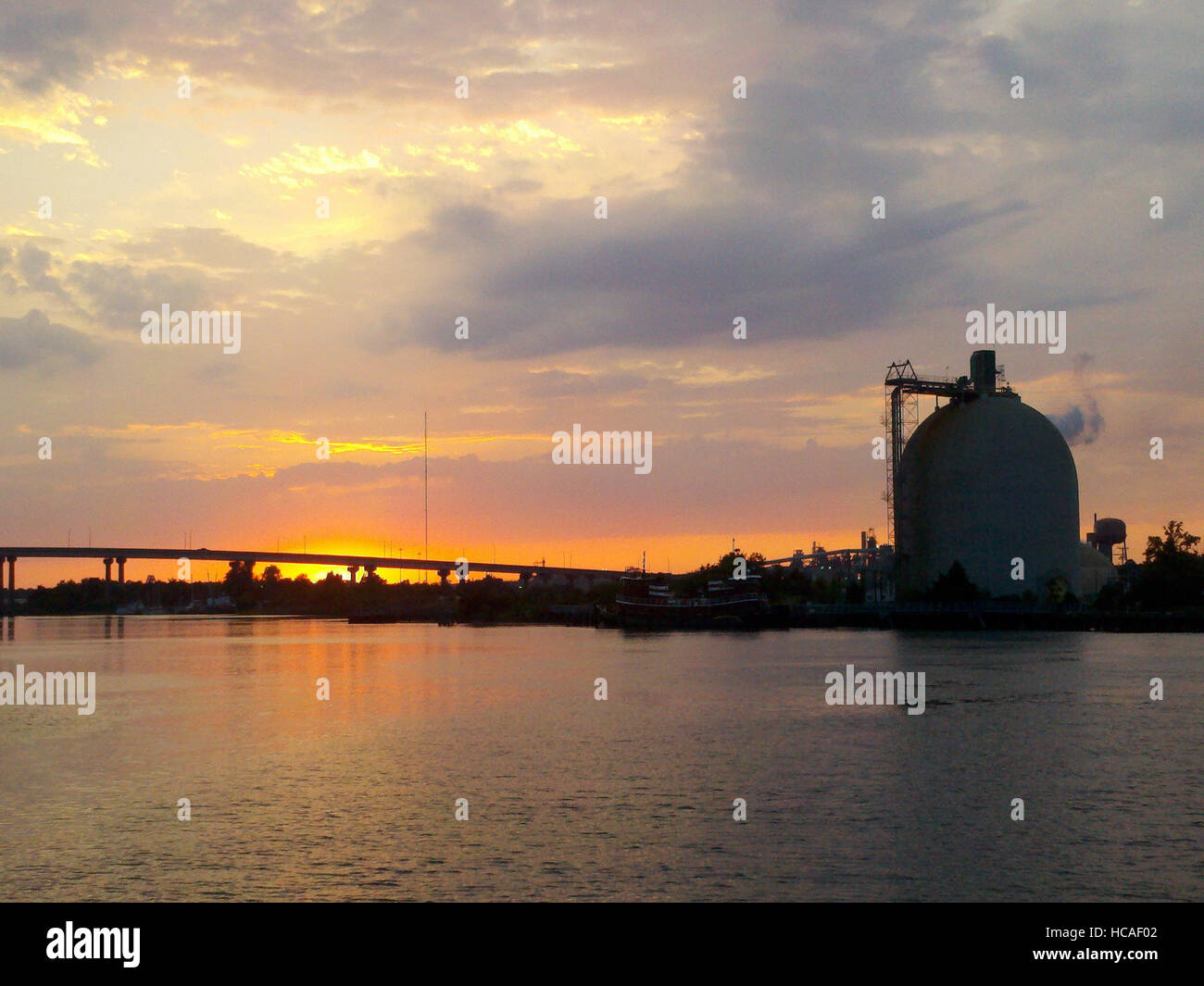 THE BAY, 2012. ©Lionsgate/Courtesy Everett Collection Stock Photo - Alamy