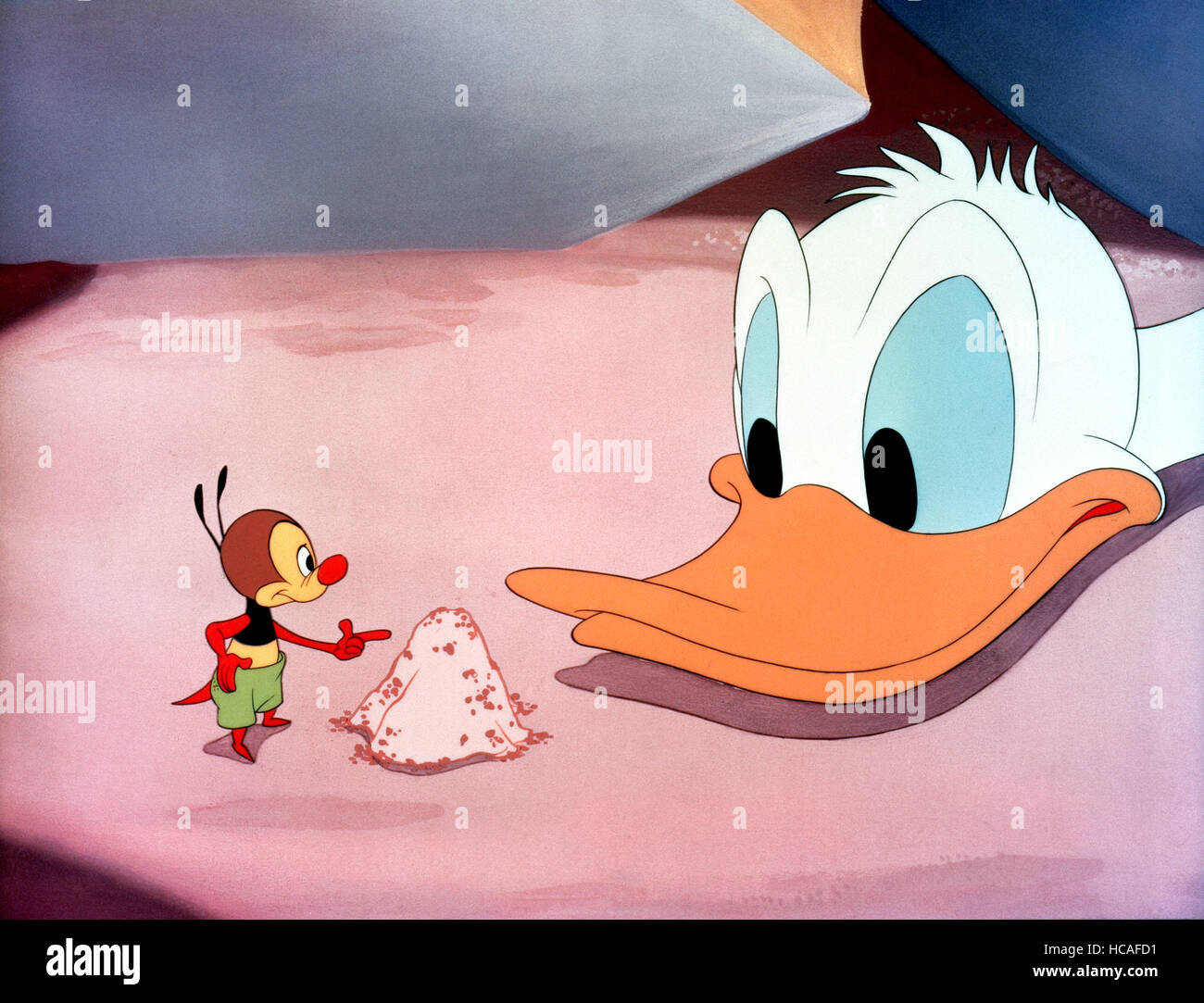 BEE AT THE BEACH, Donald Duck, 1950. ©Walt Disney/courtesy Everett ...