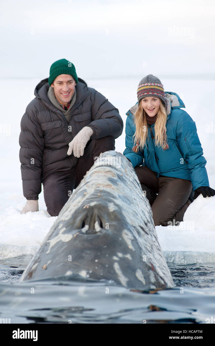 BIG MIRACLE, from left: John Krasinski, Drew Barrymore, 2012. Ph ...