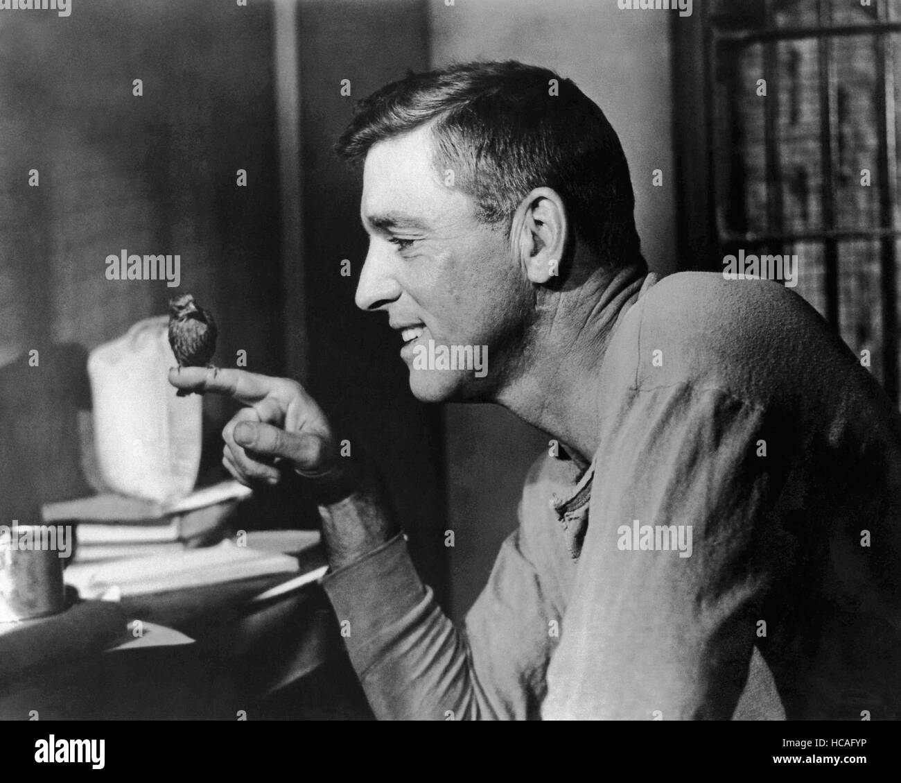 BIRDMAN OF ALCATRAZ, Burt Lancaster, 1962 Stock Photo - Alamy