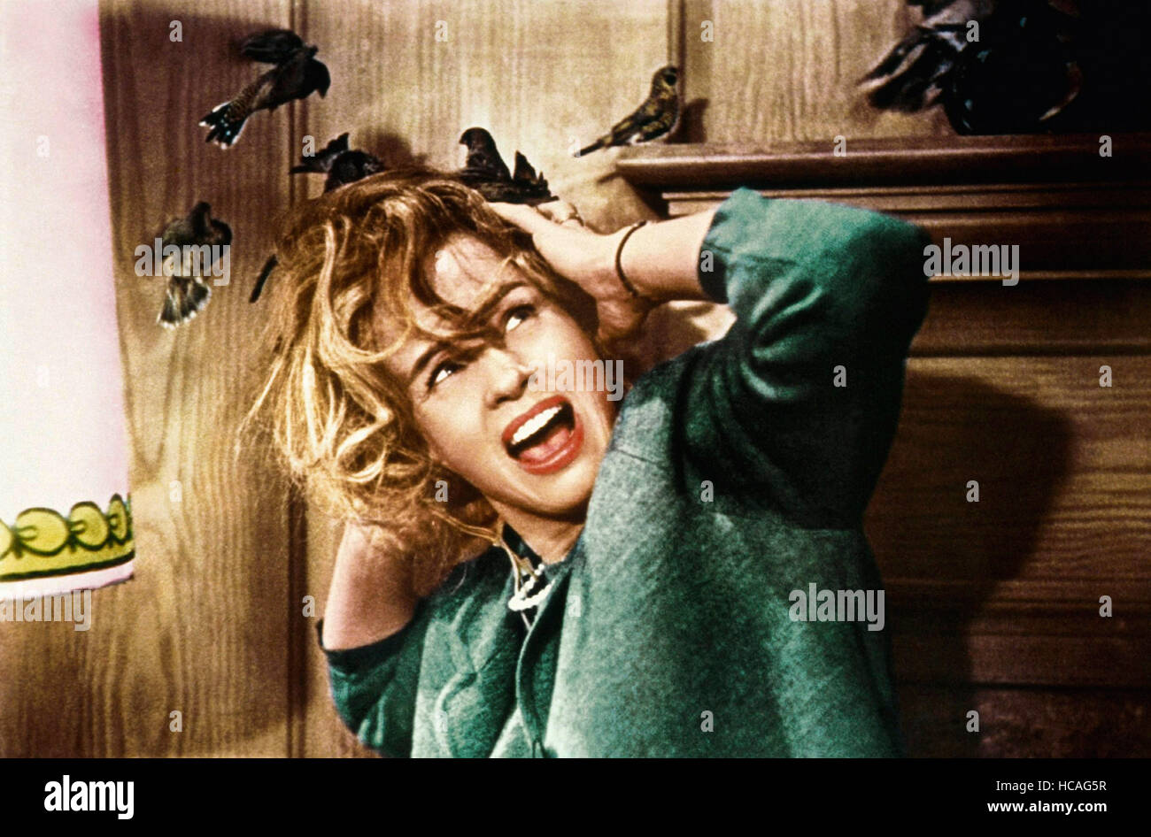 THE BIRDS, Jessica Tandy, 1963 Stock Photo - Alamy