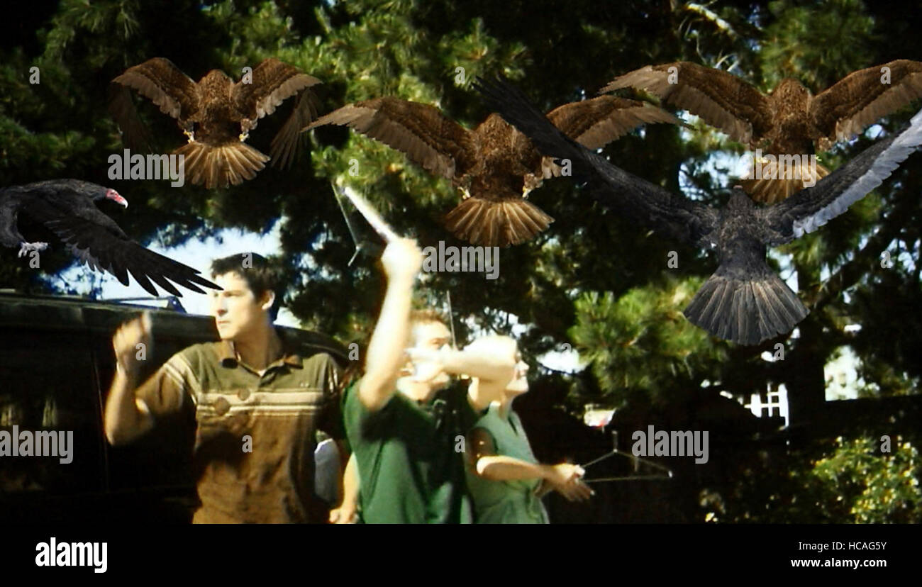 BIRDEMIC: SHOCK AND TERROR, 2008. ©Severin Films/Courtesy Everett ...