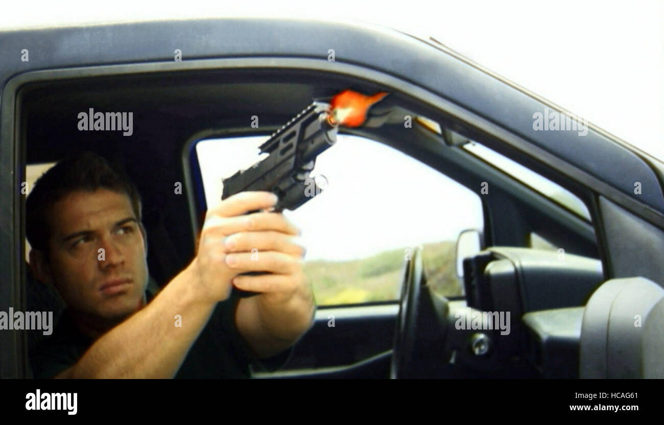 BIRDEMIC: SHOCK AND TERROR, Alan Bagh, 2008. ©Severin Films/Courtesy ...