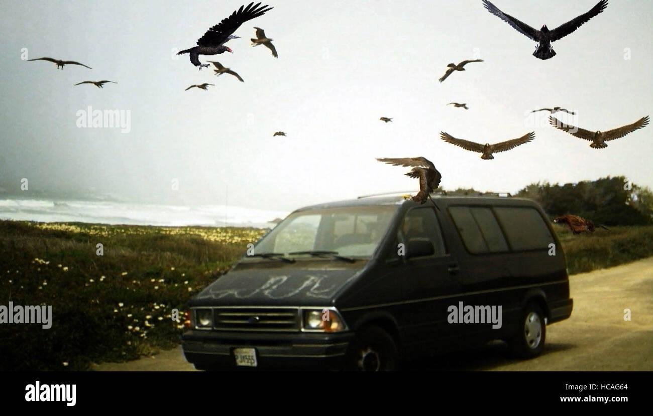 BIRDEMIC: SHOCK AND TERROR, 2008. ©Severin Films/Courtesy Everett ...