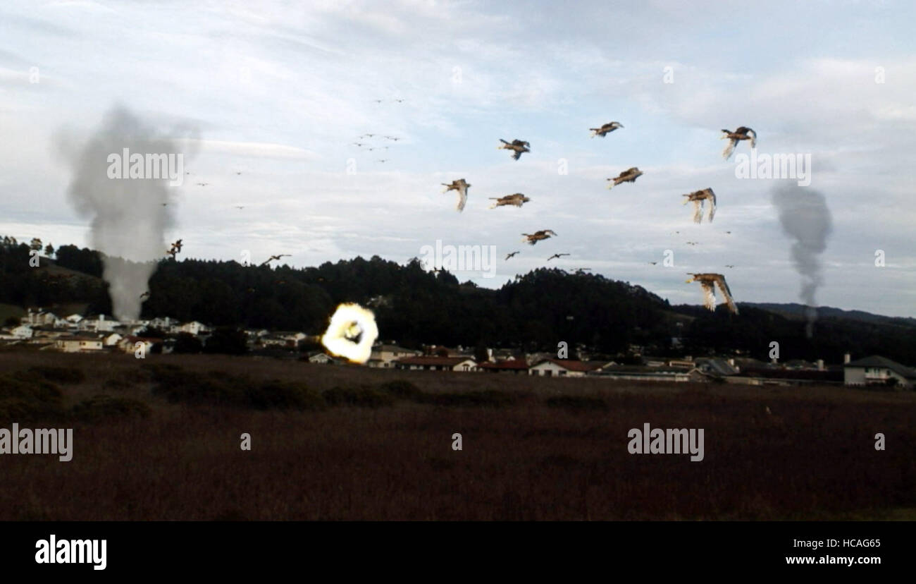 BIRDEMIC: SHOCK AND TERROR, 2008. ©Severin Films/Courtesy Everett ...