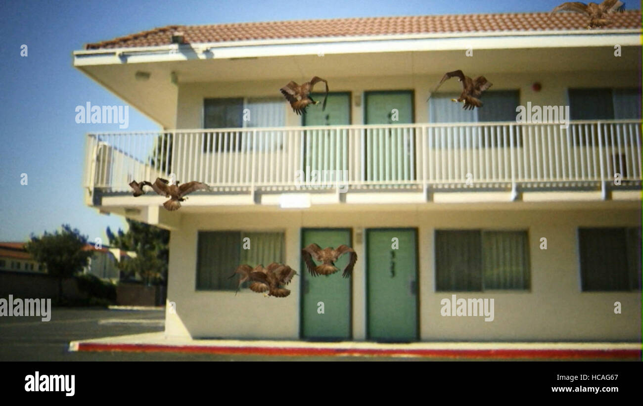 BIRDEMIC: SHOCK AND TERROR, 2008. ©Severin Films/Courtesy Everett ...