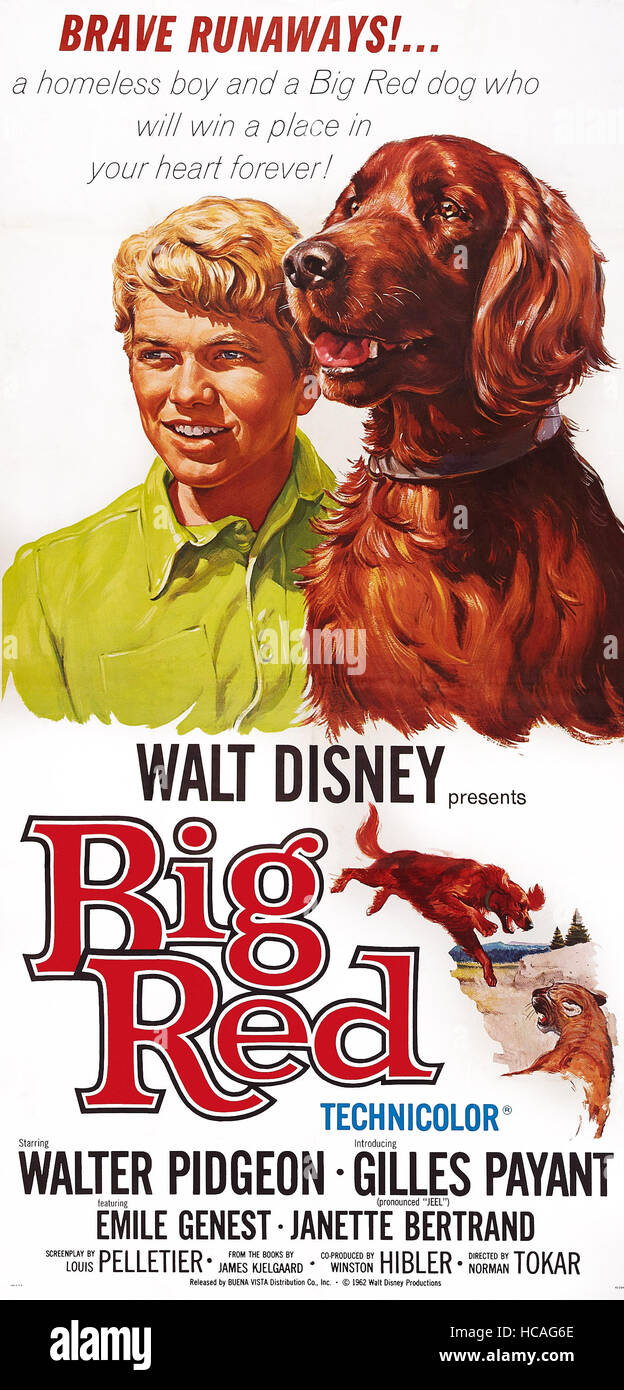BIG RED, poster art, top: Gilles Payant, 1962 Stock Photo - Alamy