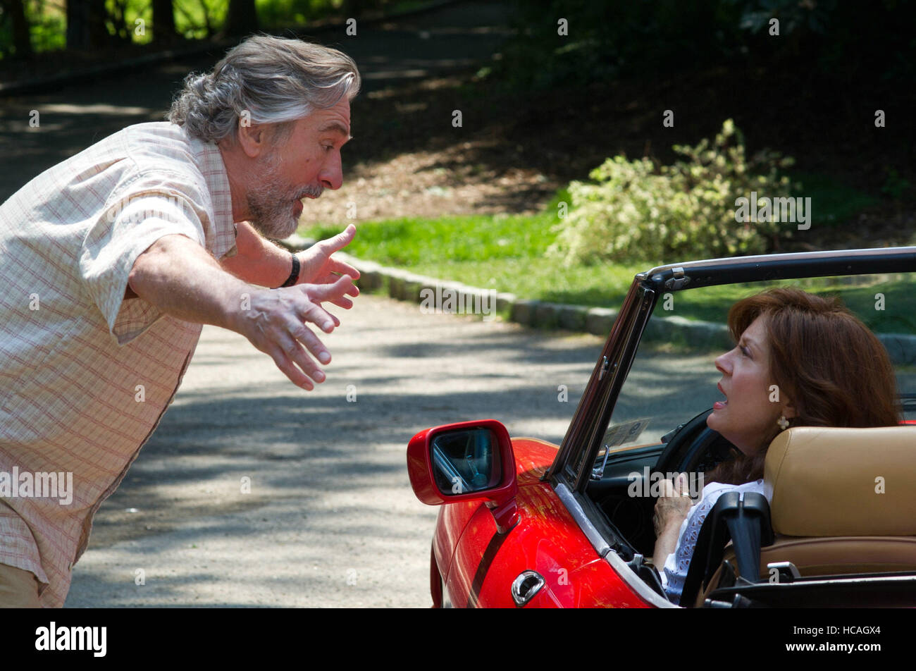 THE BIG WEDDING, from left: Robert De Niro, Susan Sarandon, 2012. ph ...