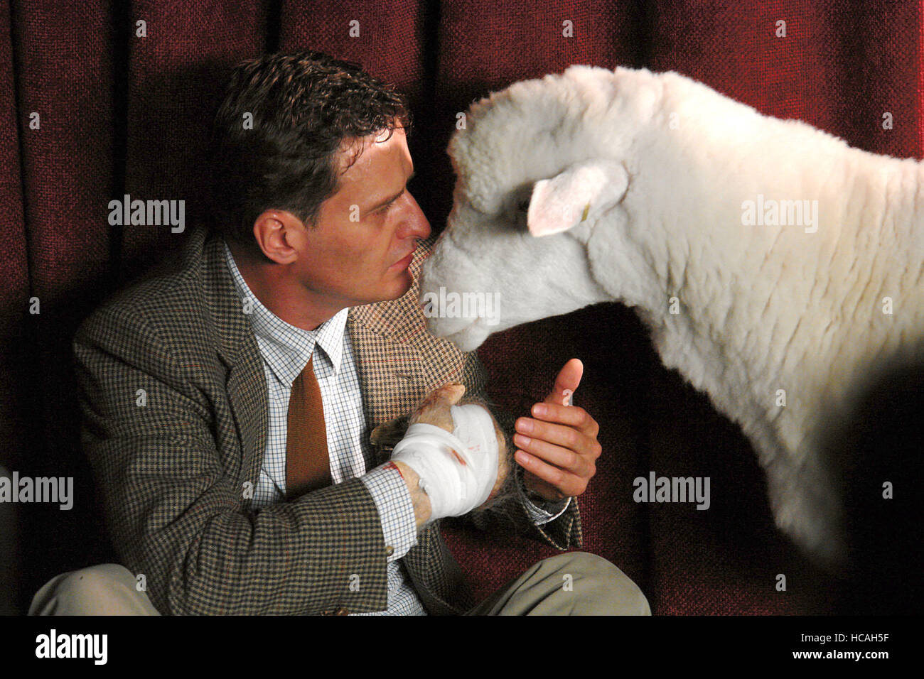 BLACK SHEEP, Peter Feeney, 2006. ©Weinstein Company/Courtesy Everett ...