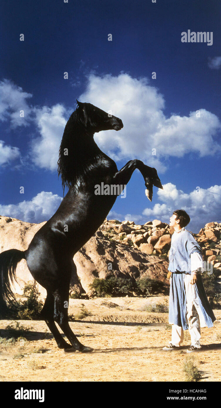 THE BLACK STALLION RETURNS, Kelly Reno, 1983, (c) MGM/courtesy Everett ...