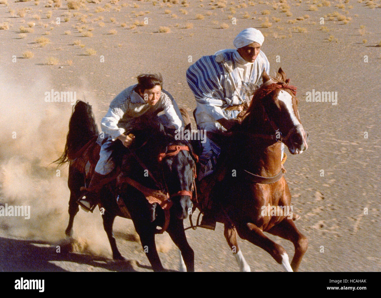 THE BLACK STALLION RETURNS, Kelly Reno, Vincent Spano, 1983, (c) MGM ...