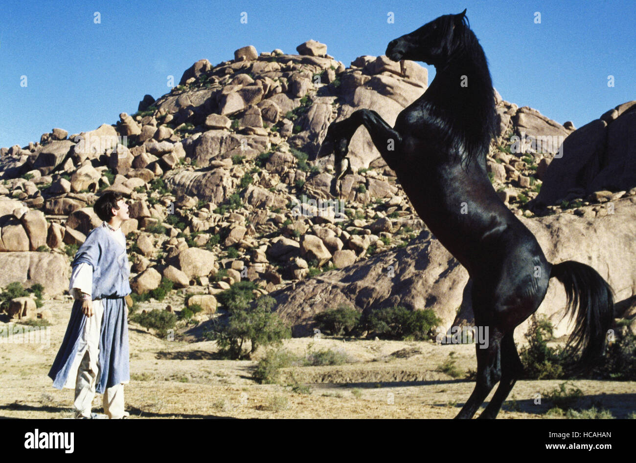 THE BLACK STALLION RETURNS, Kelly Reno, 1983, (c) MGM/courtesy Everett ...