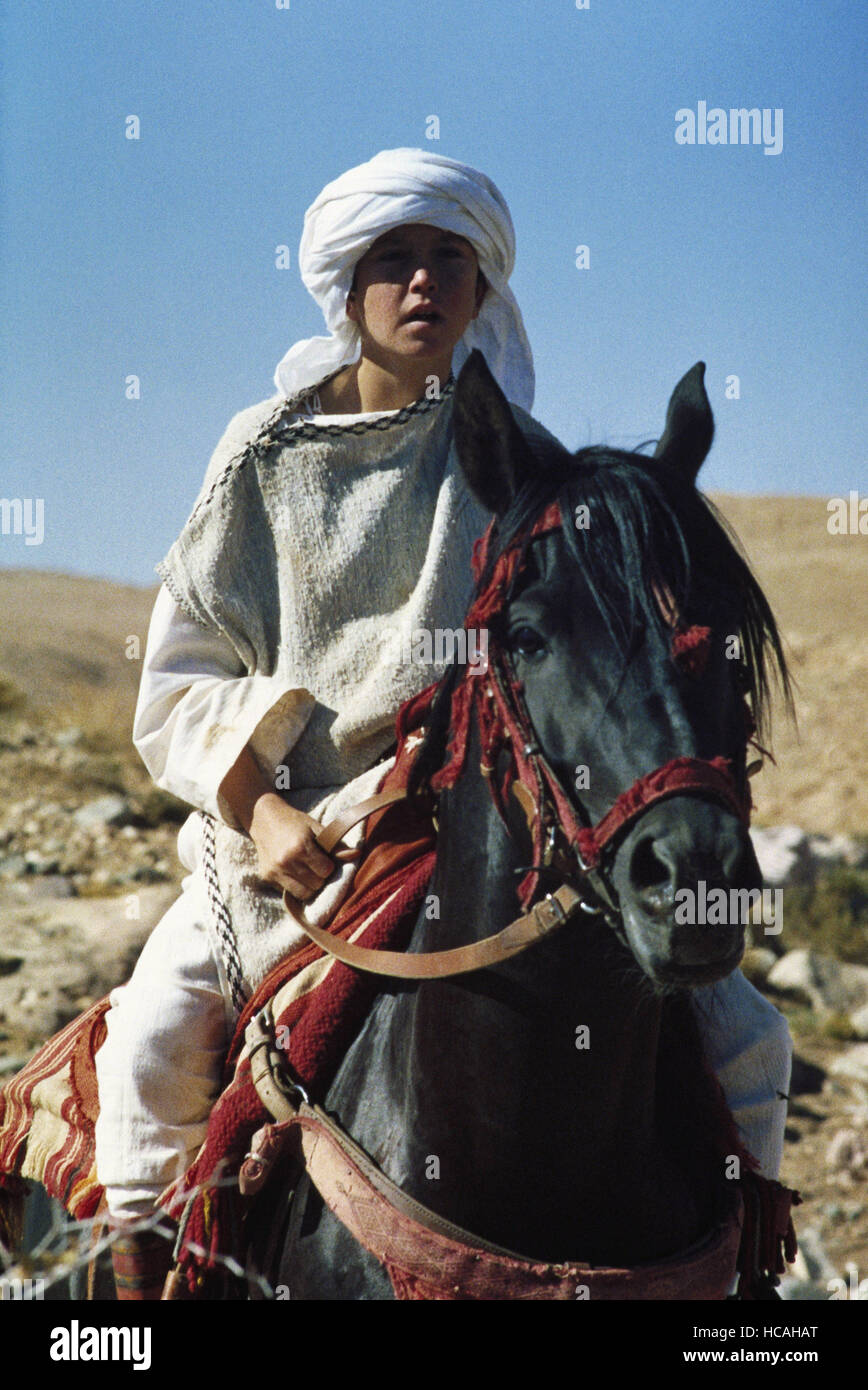 THE BLACK STALLION RETURNS, Kelly Reno, 1983, (c) MGM/courtesy Everett ...