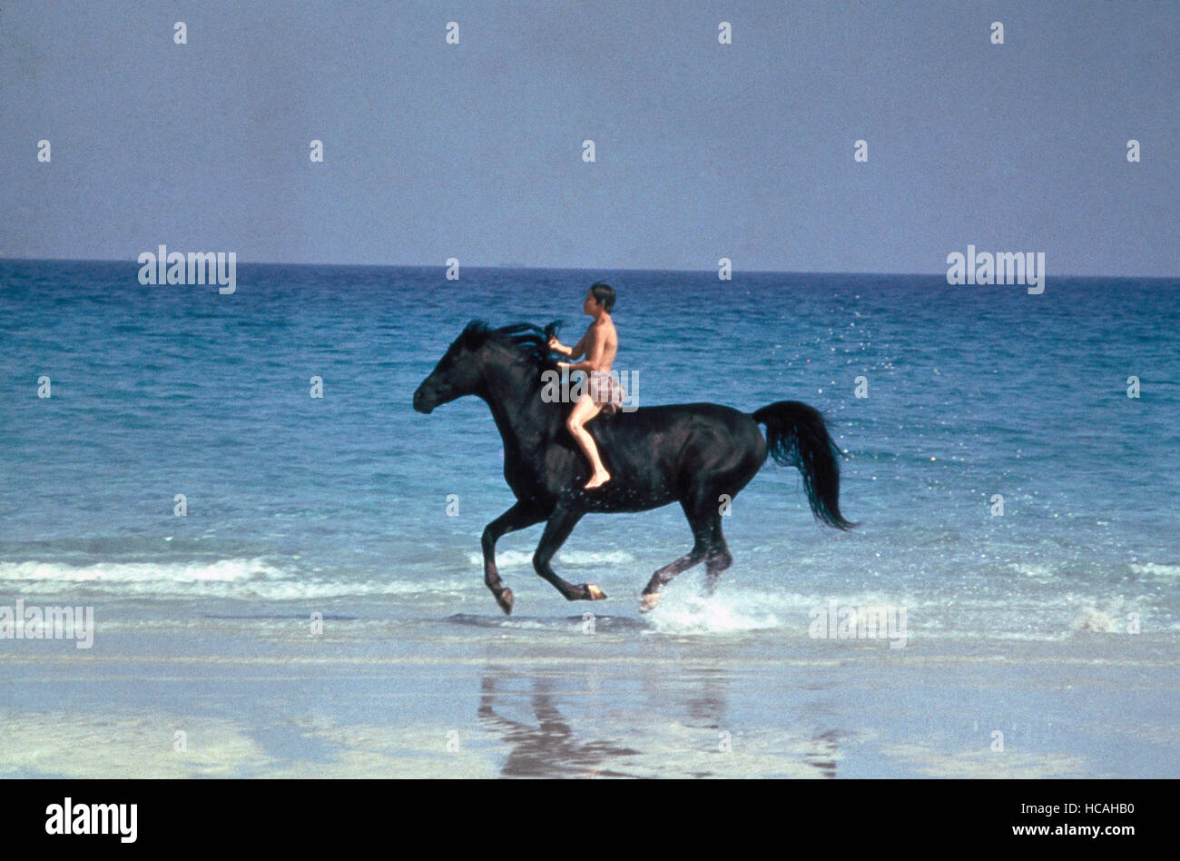 THE BLACK STALLION, Kelly Reno, 1979, (c) United Artists/courtesy ...