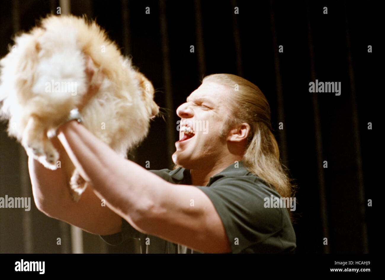 BLADE: TRINITY, Paul Michael Levesque (aka Triple H), 2004, (c) New ... BLADE: TRINITY, Paul Michael Levesque (aka Triple H), 2004, (c) New ...