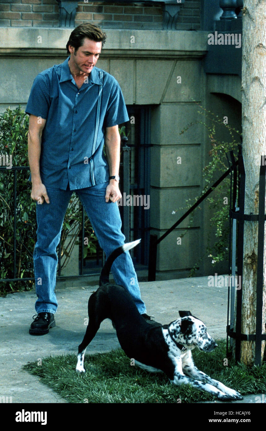 BRUCE ALMIGHTY, Jim Carrey, 2003, (c) Universal/courtesy Everett ...