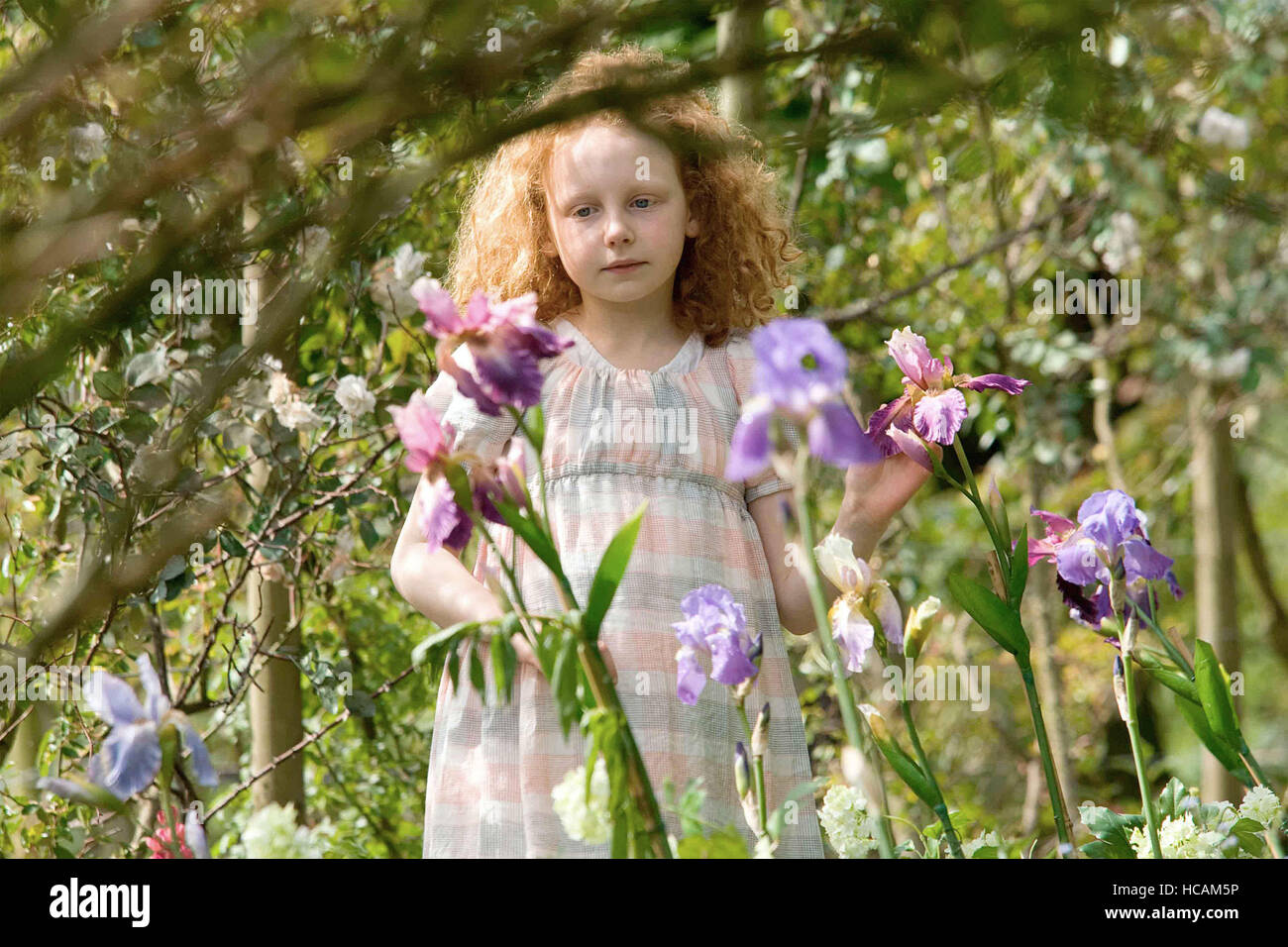 BRIGHT STAR, Edie Martin, 2009. ©Apparition/courtesy Everett Collection ...