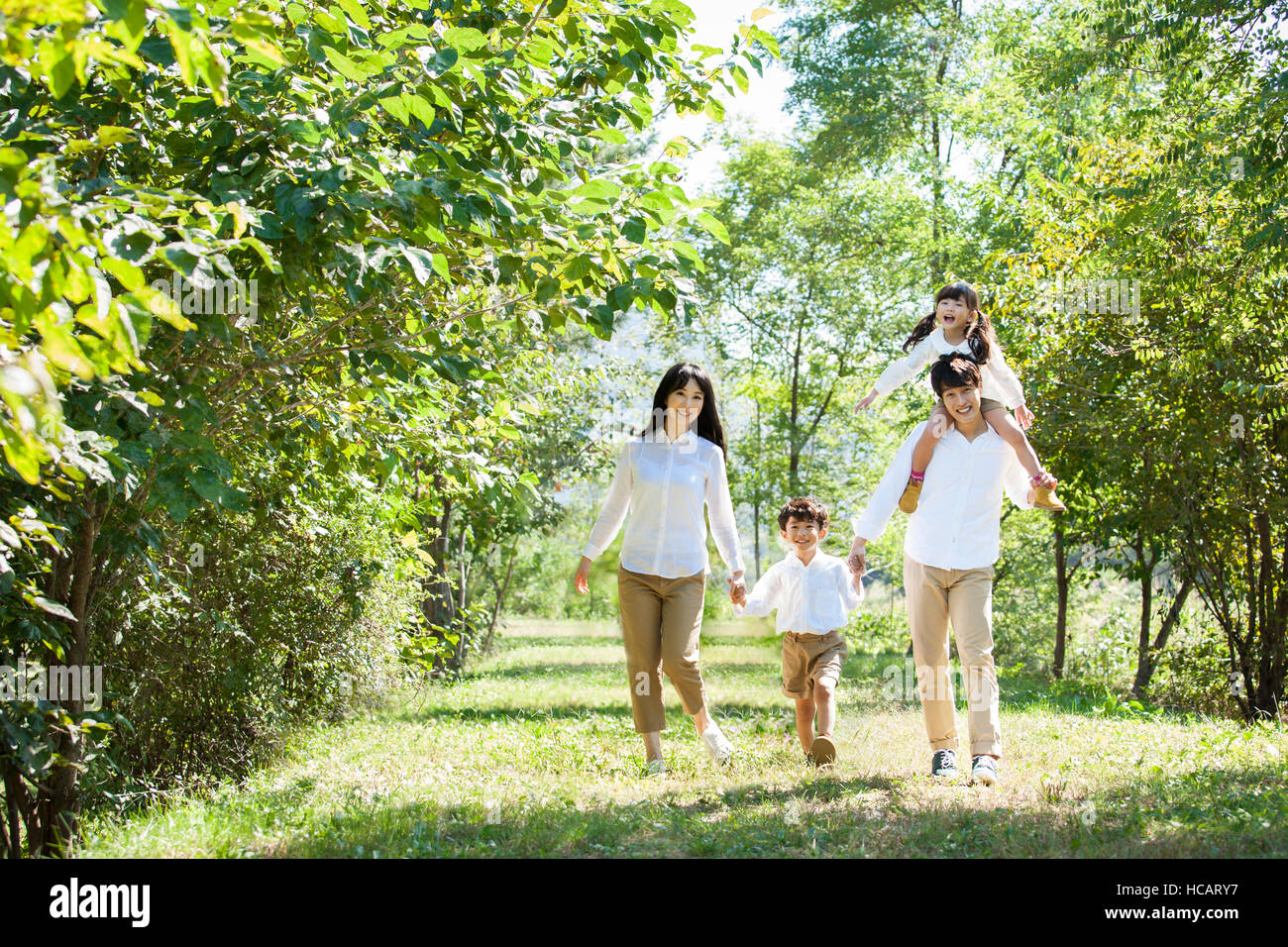 Harmonious family walking together in the open air Stock Photo - Alamy
