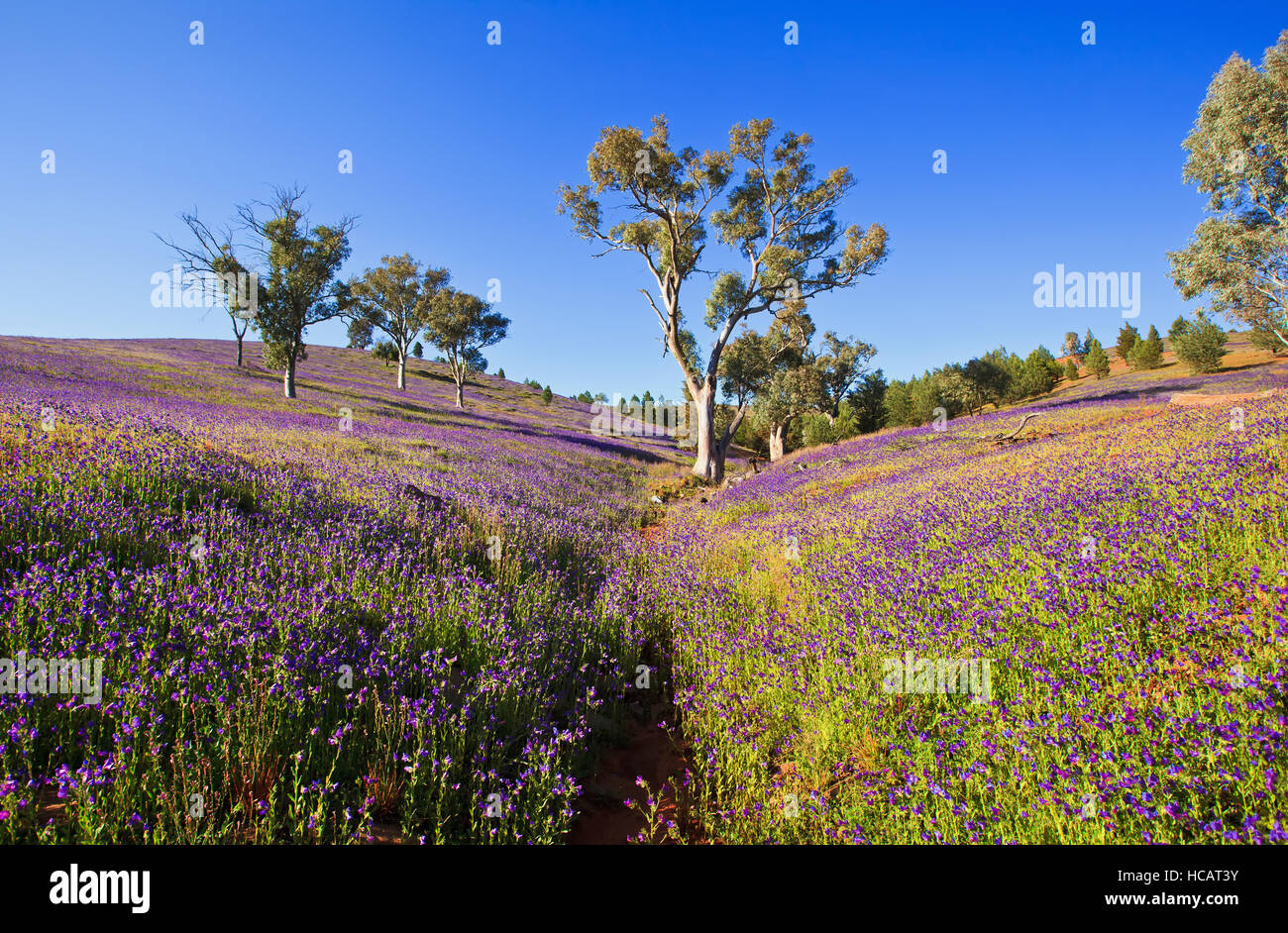 outback landscape landscapes Flinders Ranges South Australia Australian ...